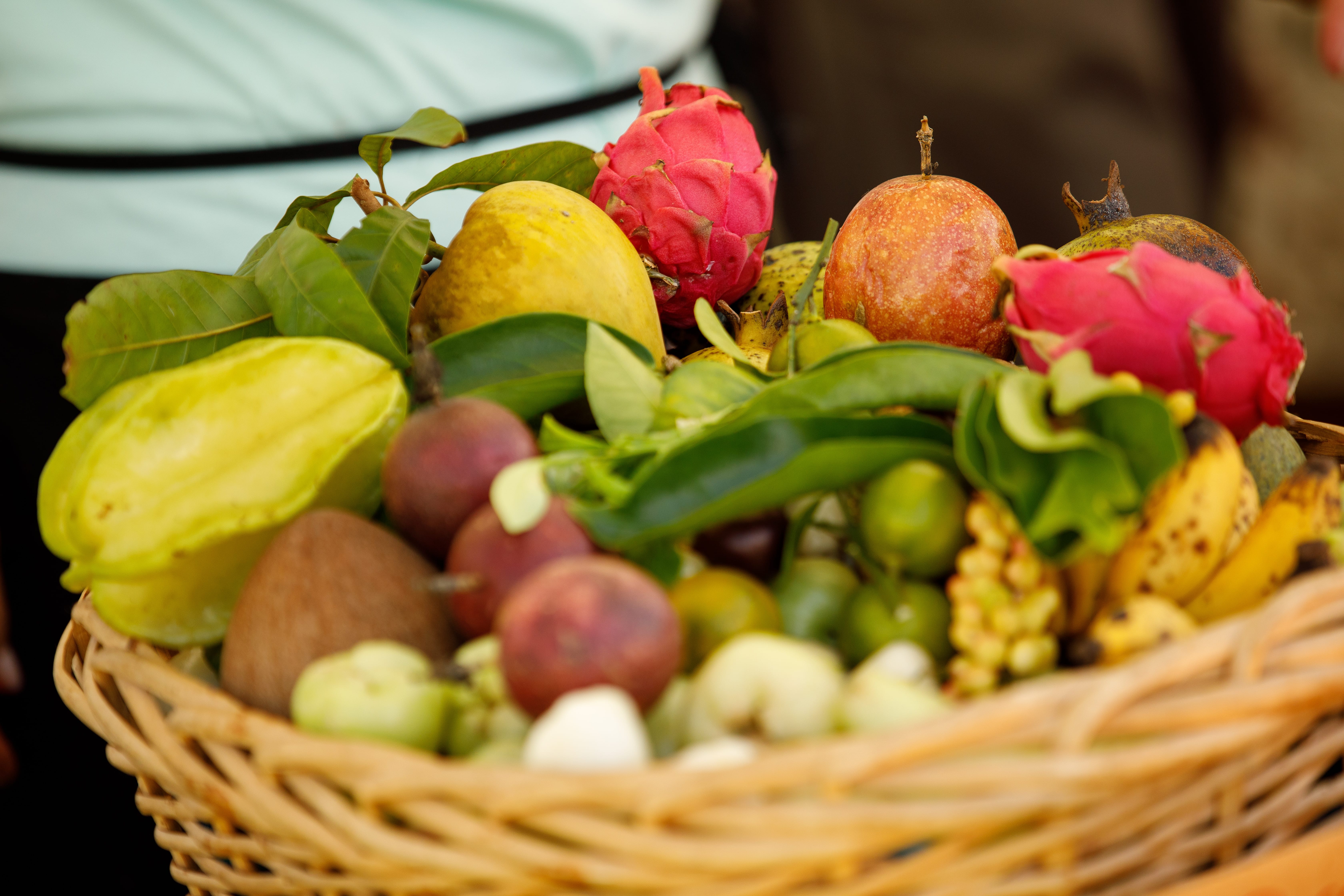 Fruit Farms on Pine Island - Visit Fort Myers - Fruit Stands & Markets ...